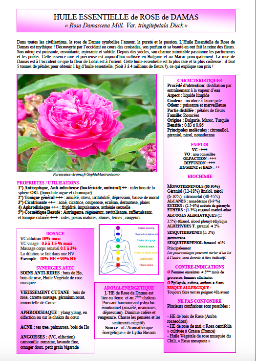 Fiche résumée Rose de Damas, format pdf à imprimer vous même ...