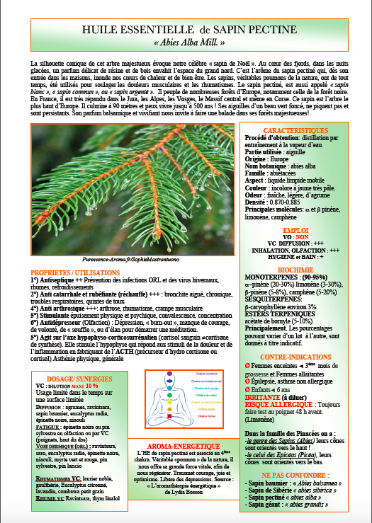 Fiche résumée Sapin pectiné, format pdf à imprimer vous même ...